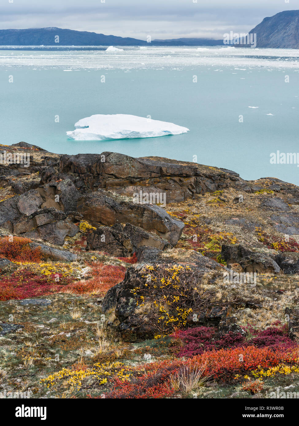 Tundra near glacier Eqip (Eqip Sermia) in western Greenland, Denmark ...