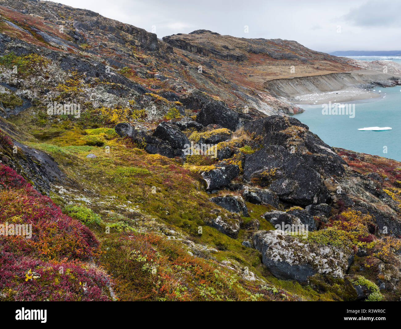 Tundra near glacier Eqip (Eqip Sermia) in western Greenland, Denmark ...