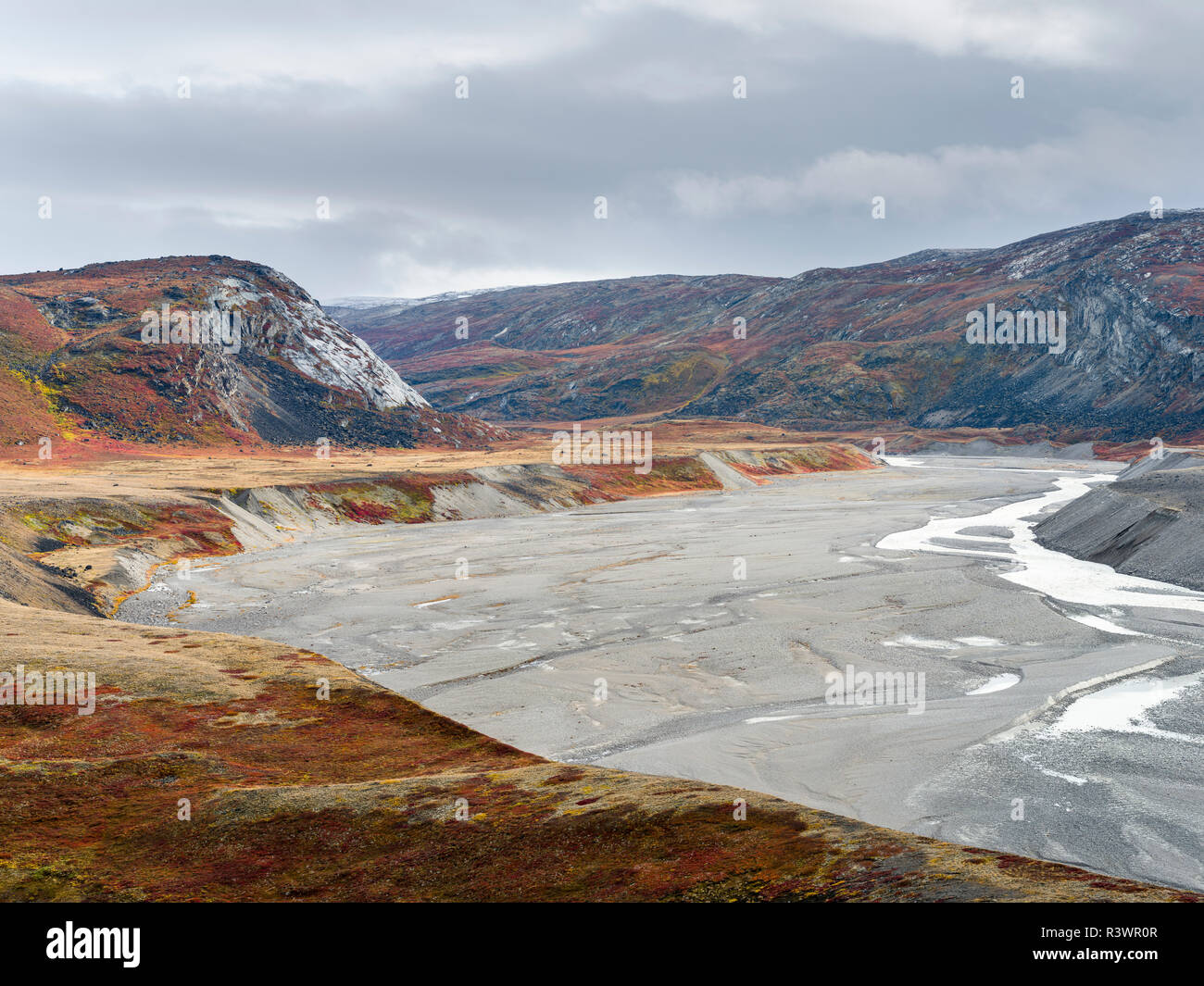 Tundra near glacier Eqip (Eqip Sermia) in western Greenland, Denmark Stock Photo - Alamy