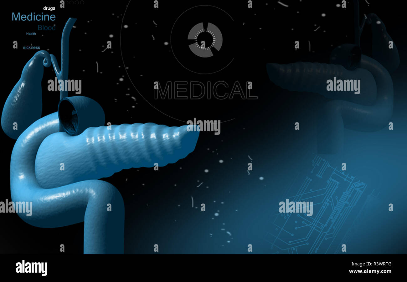 Pancreatic juice hi-res stock photography and images - Alamy