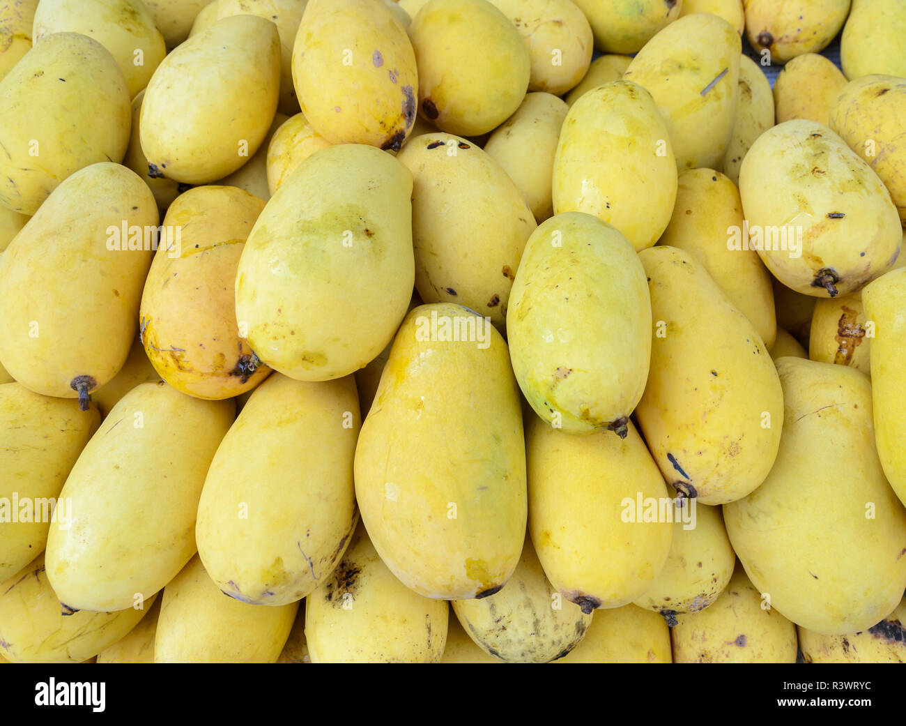 Ripe fresh yellow mangoes fruit Stock Photo - Alamy