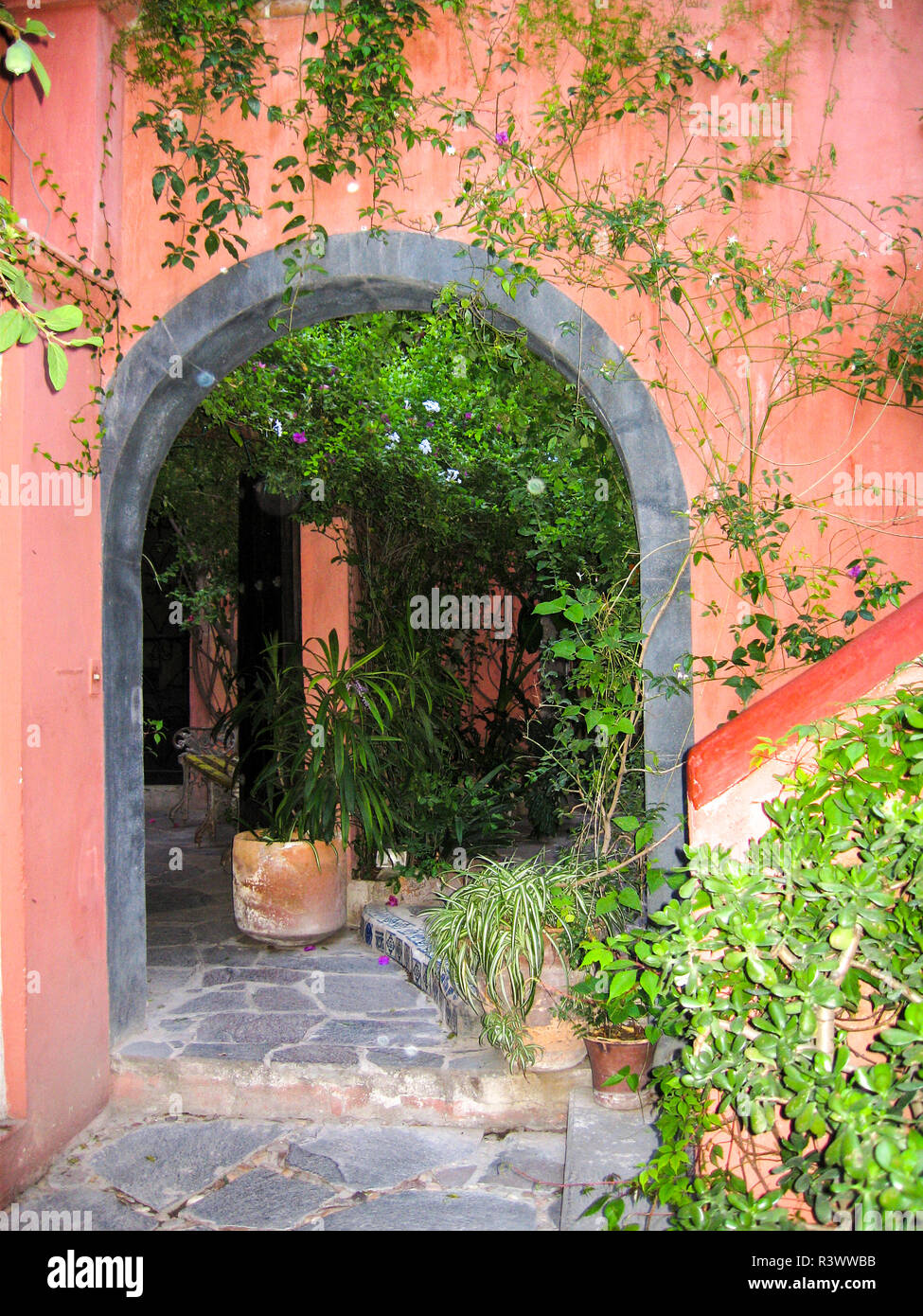 Mexico, San Miguel de Allende, Alley with Greenery Stock Photo - Alamy