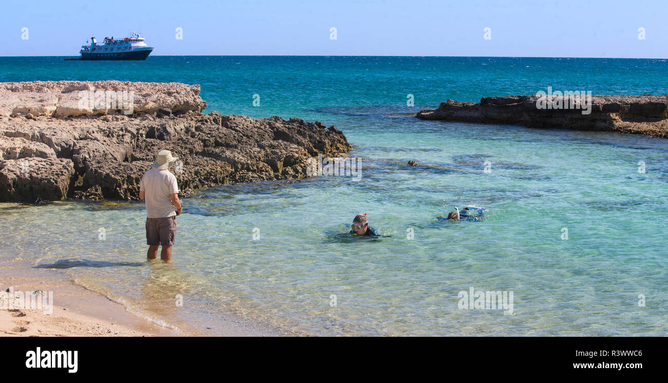 Baja, Sea of Cortez, Gulf of California, Mexico. Learning to Snorkel ...