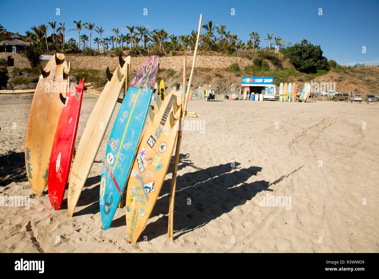 Mexico, Baja California Sur, Cerritos Beach. Surfboards on the beach ...