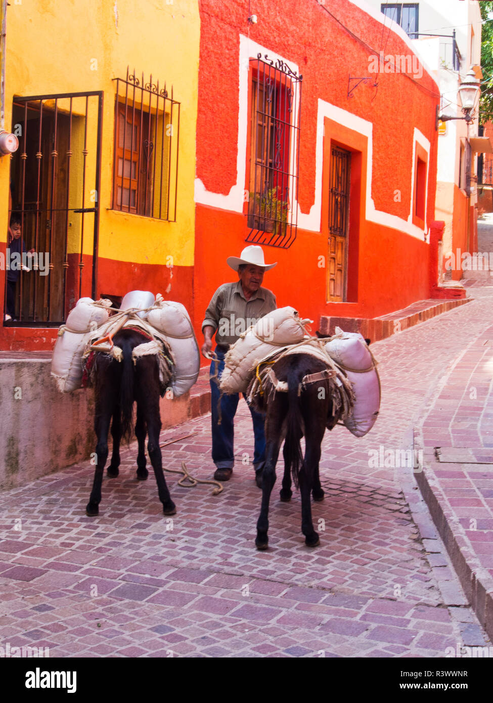 Mexico, Guanajuato, Colorful Back Alley with Famer and Donkeys Stock ...