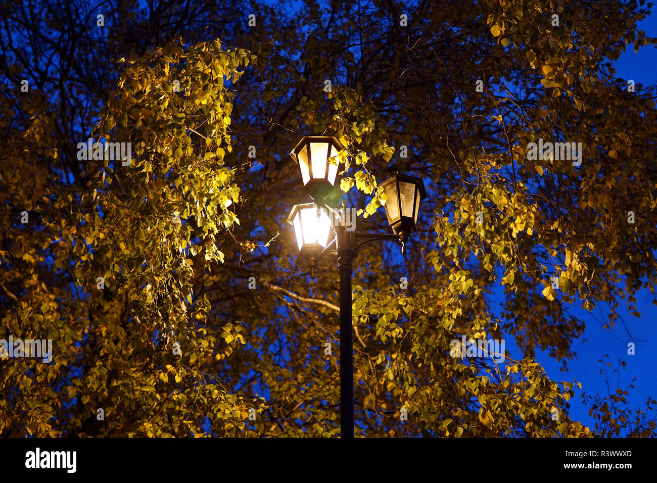 Park lamps hi-res stock photography and images - Alamy