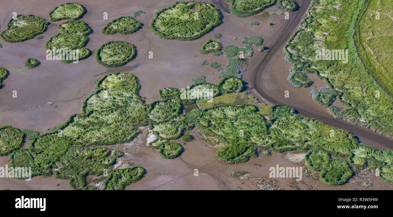 Tidal plane hi-res stock photography and images - Alamy