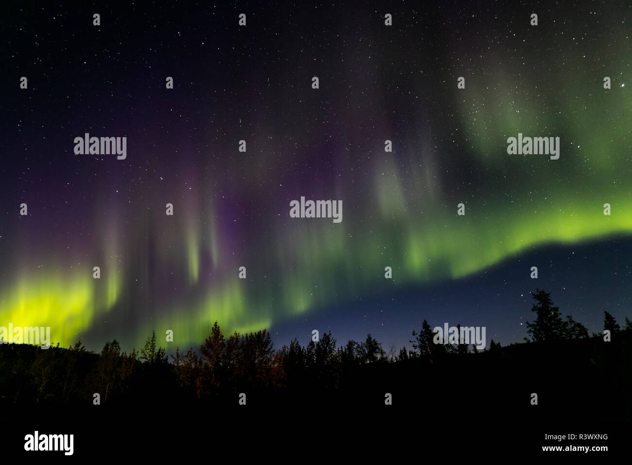 USA, Alaska, Aurora borealis and stars Stock Photo - Alamy