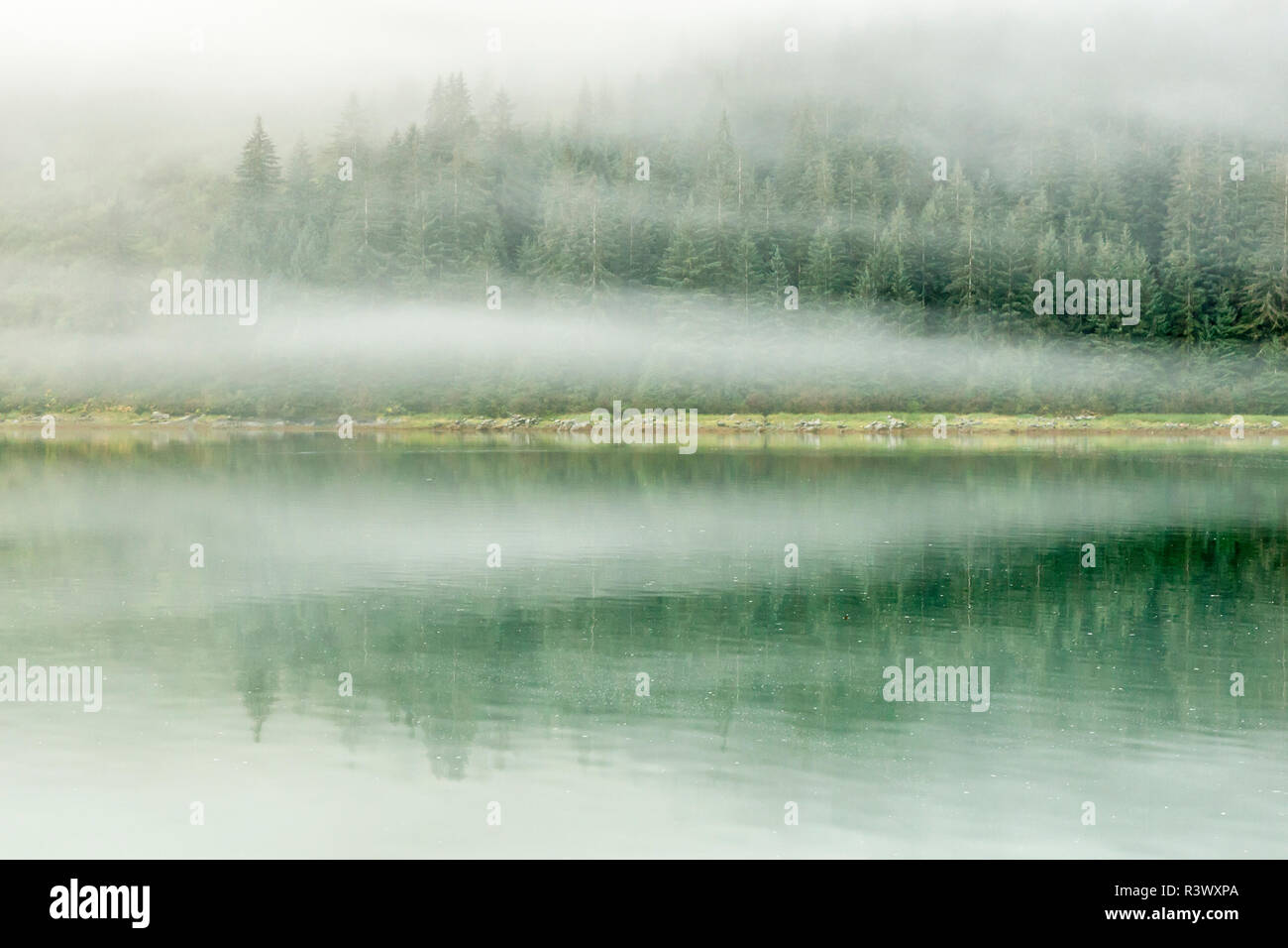 USA, Alaska, Tongass National Forest. Foggy shoreline and water ...