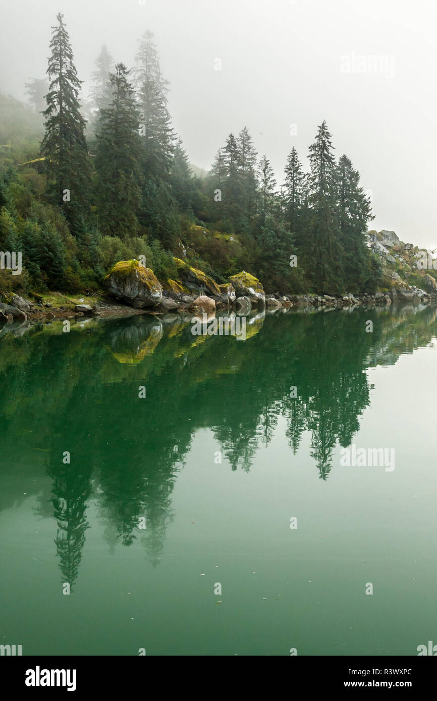 USA, Alaska, Tongass National Forest. Foggy shoreline and water ...