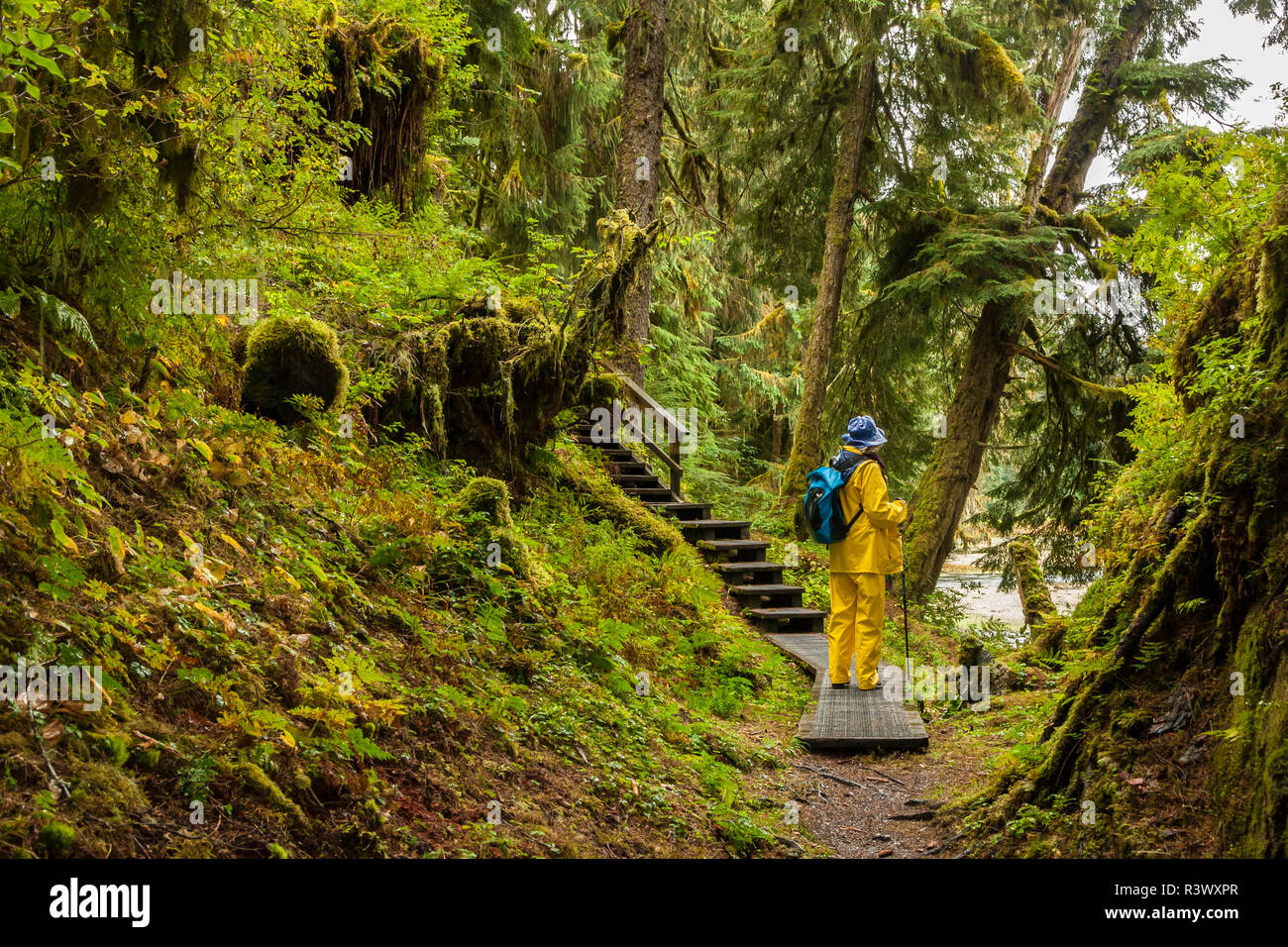 Usa Alaska Tongass National Forest Anan Creek Tourist On Trail To