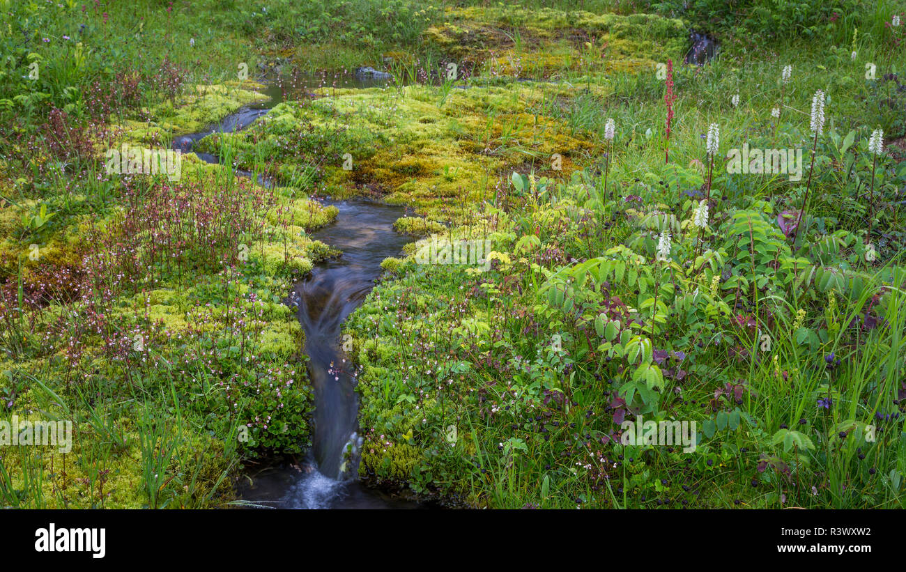 Upper moss creek hi-res stock photography and images - Alamy