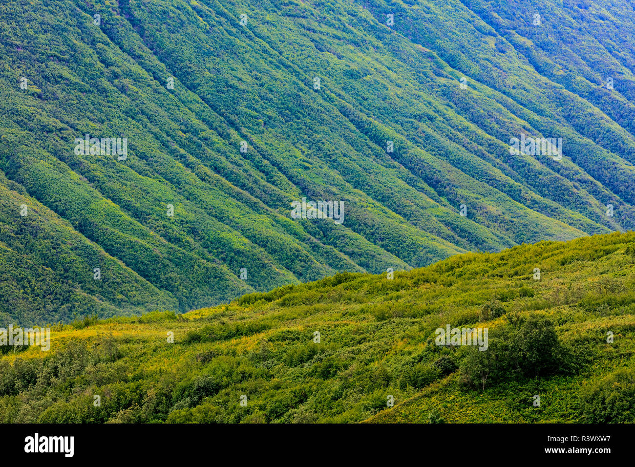 Little susitna valley hi-res stock photography and images - Alamy