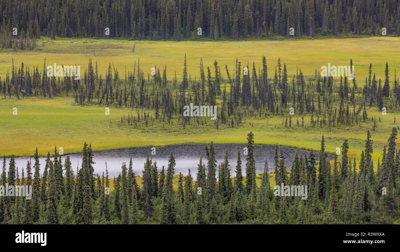 USA, Alaska, Nenana River Valley. Landscape of valley and pond Stock ...
