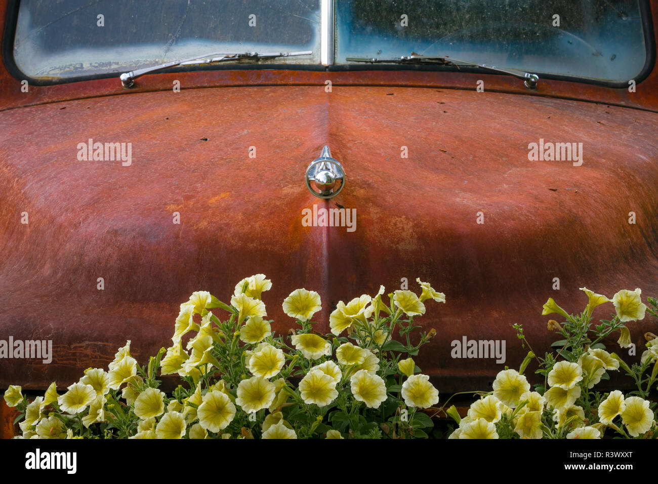Truck with flowers hi-res stock photography and images - Alamy