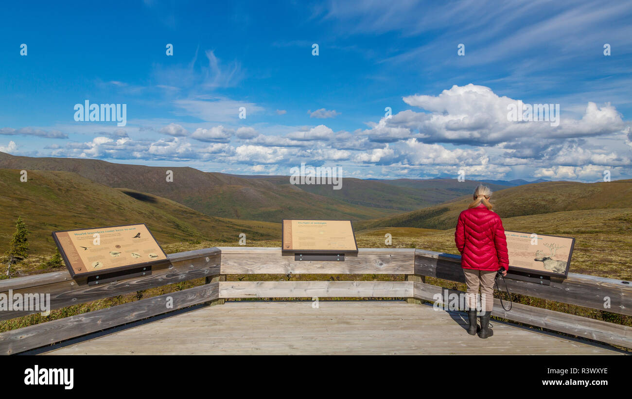 Steese highway hi-res stock photography and images - Alamy