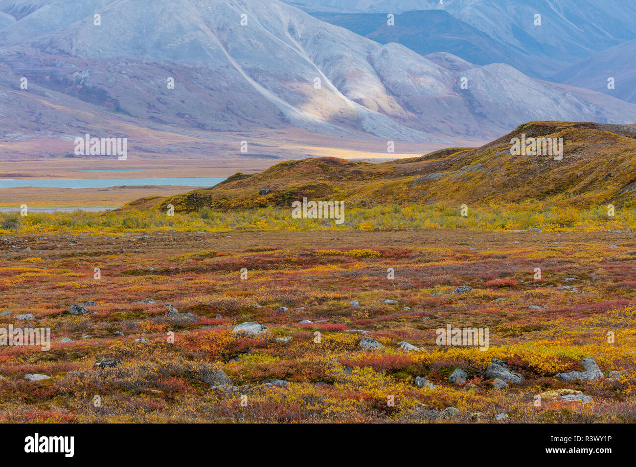 USA, Alaska, North Slope. Landscape of mountains, tundra and lake Stock ...