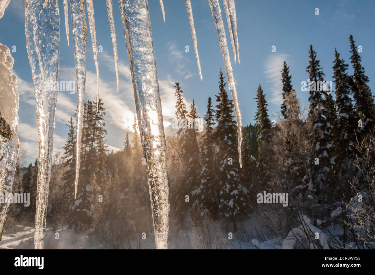 USA, Alaska, Fairbanks. Sun reflection on icicles Stock Photo - Alamy