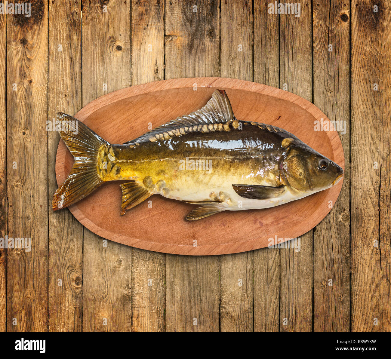 Common carp fish Stock Photo - Alamy