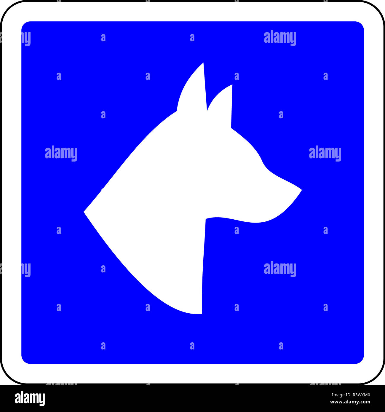 Dogs allowed blue sign Stock Photo - Alamy