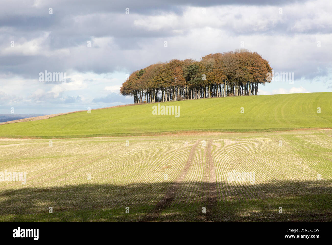 Broad slope hi-res stock photography and images - Alamy