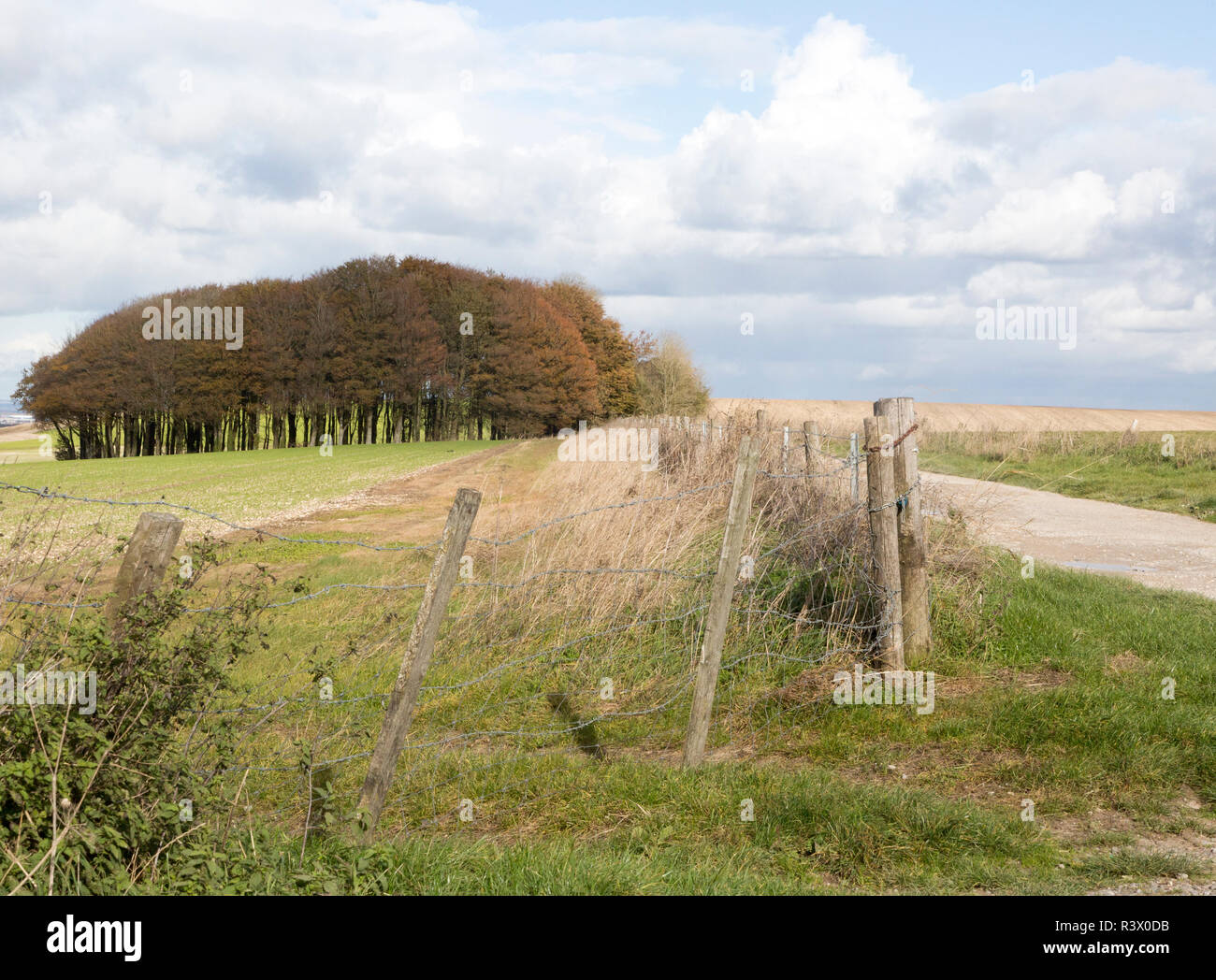 Broad hinton road hi-res stock photography and images - Alamy