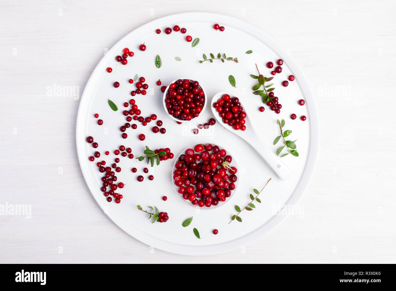 Wild cranberry and foxberry Stock Photo - Alamy