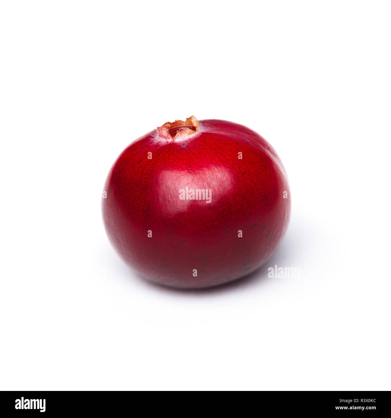 Northern cranberry Cut Out Stock Images & Pictures - Alamy