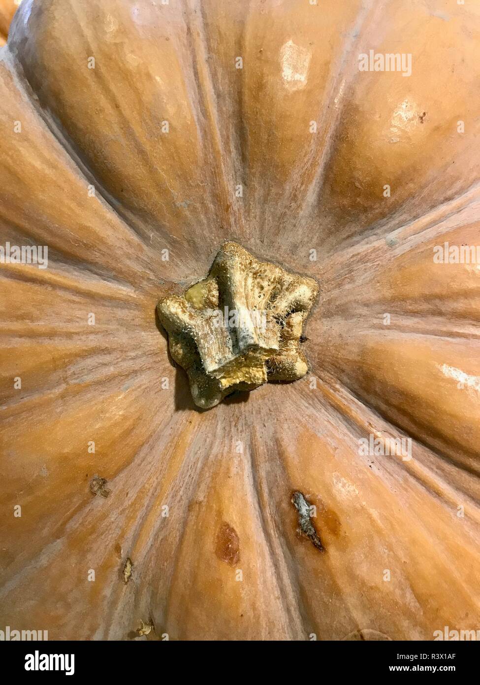 Long view down central hi-res stock photography and images - Alamy