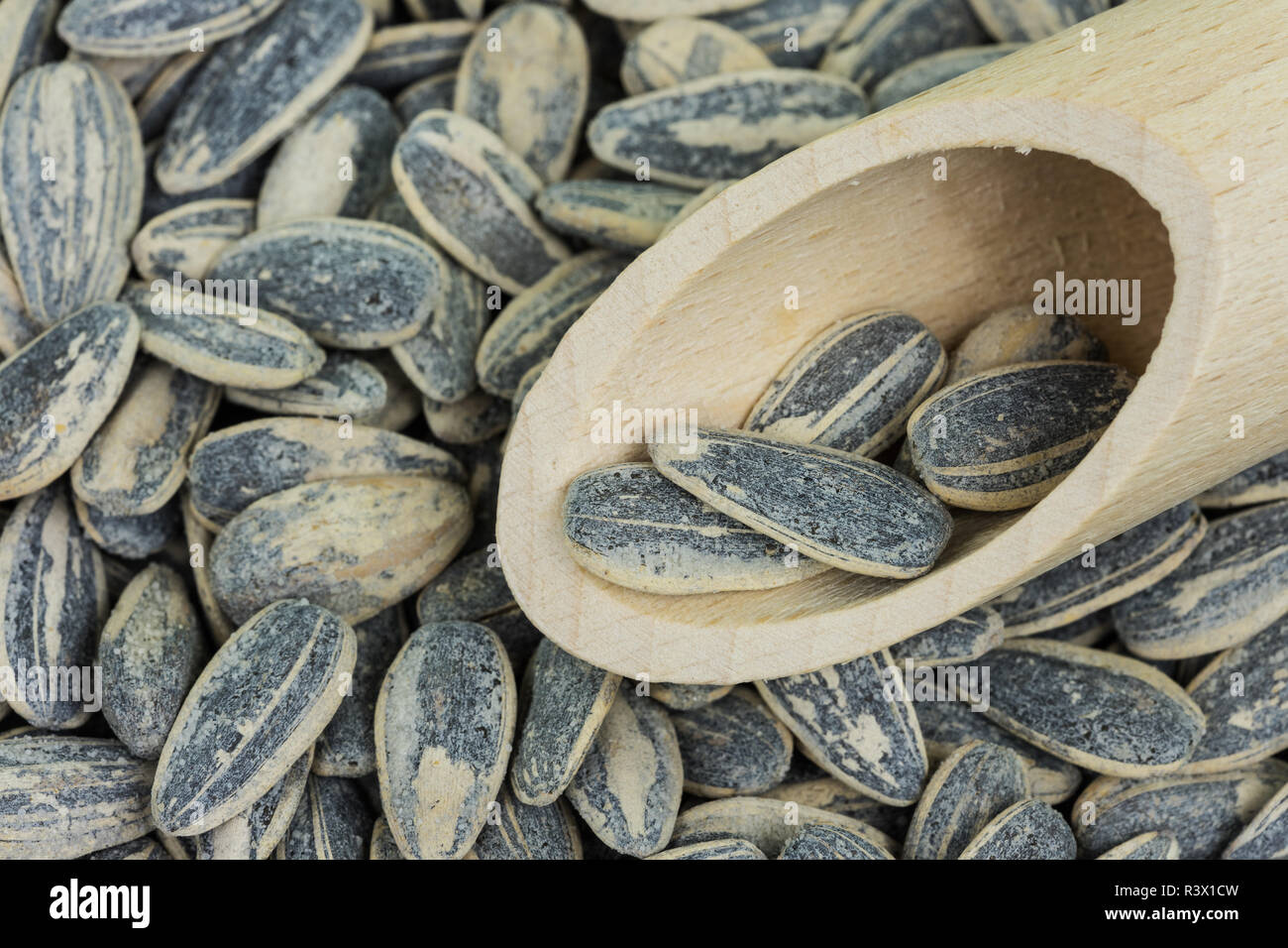 sunflower seeds roasted Stock Photo - Alamy