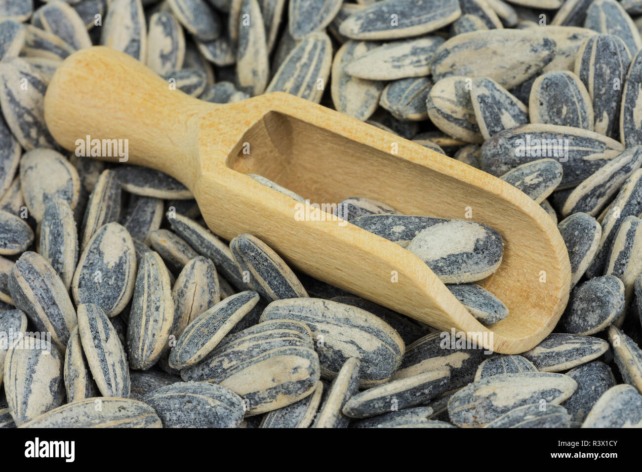 sunflower seeds roasted Stock Photo - Alamy