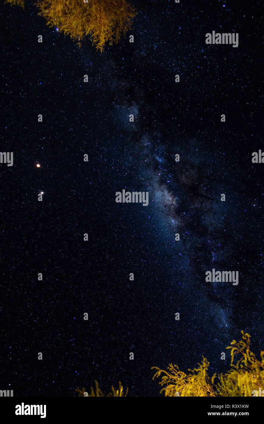 milkyway diagonal trees stars galaxy namibia Stock Photo - Alamy