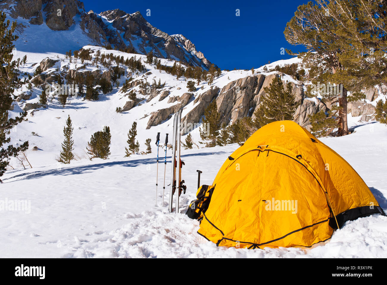 Yellow dome tent in winter, John Muir Wilderness, Sierra Nevada ...