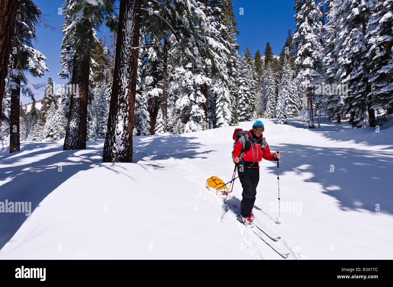 Backcountry skier pulling a sled, Ansel Adams Wilderness, Sierra Nevada ...