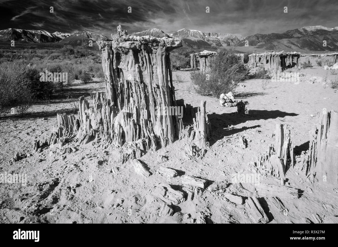 Sand tufa formations on the south shore of Mono Lake, Mono Basin ...