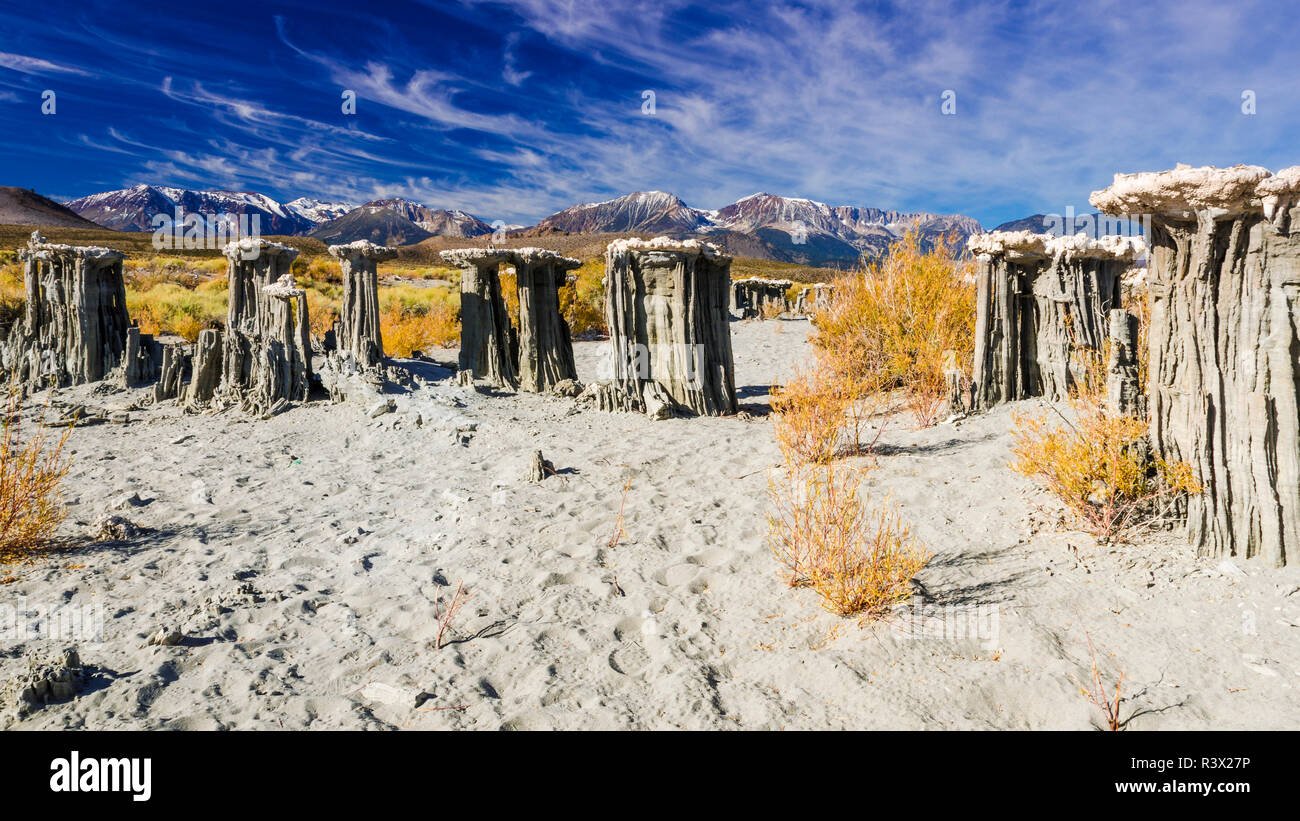 Sand tufa formations on the south shore of Mono Lake, Mono Basin ...