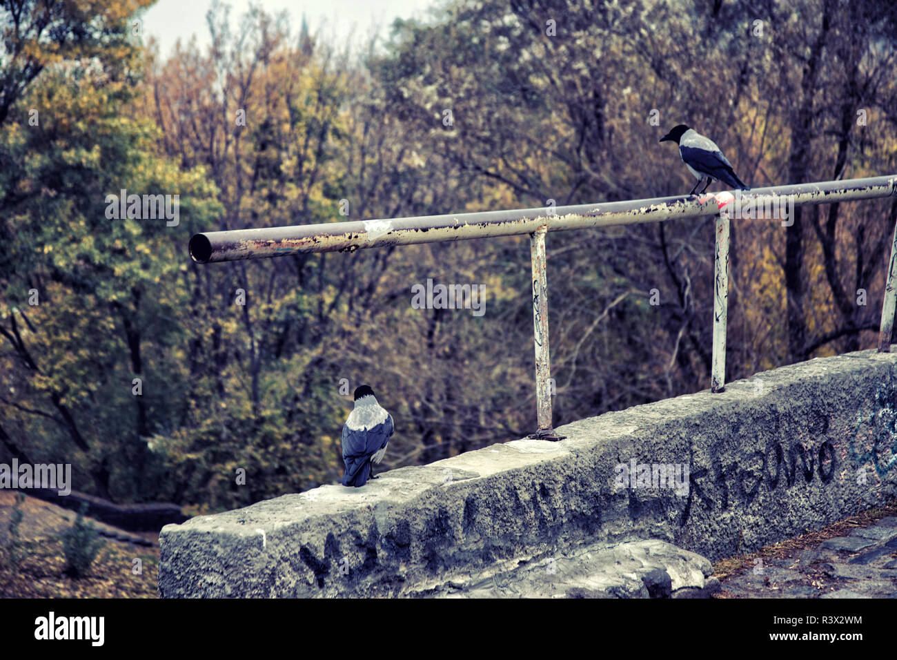Crows fence hi-res stock photography and images - Alamy