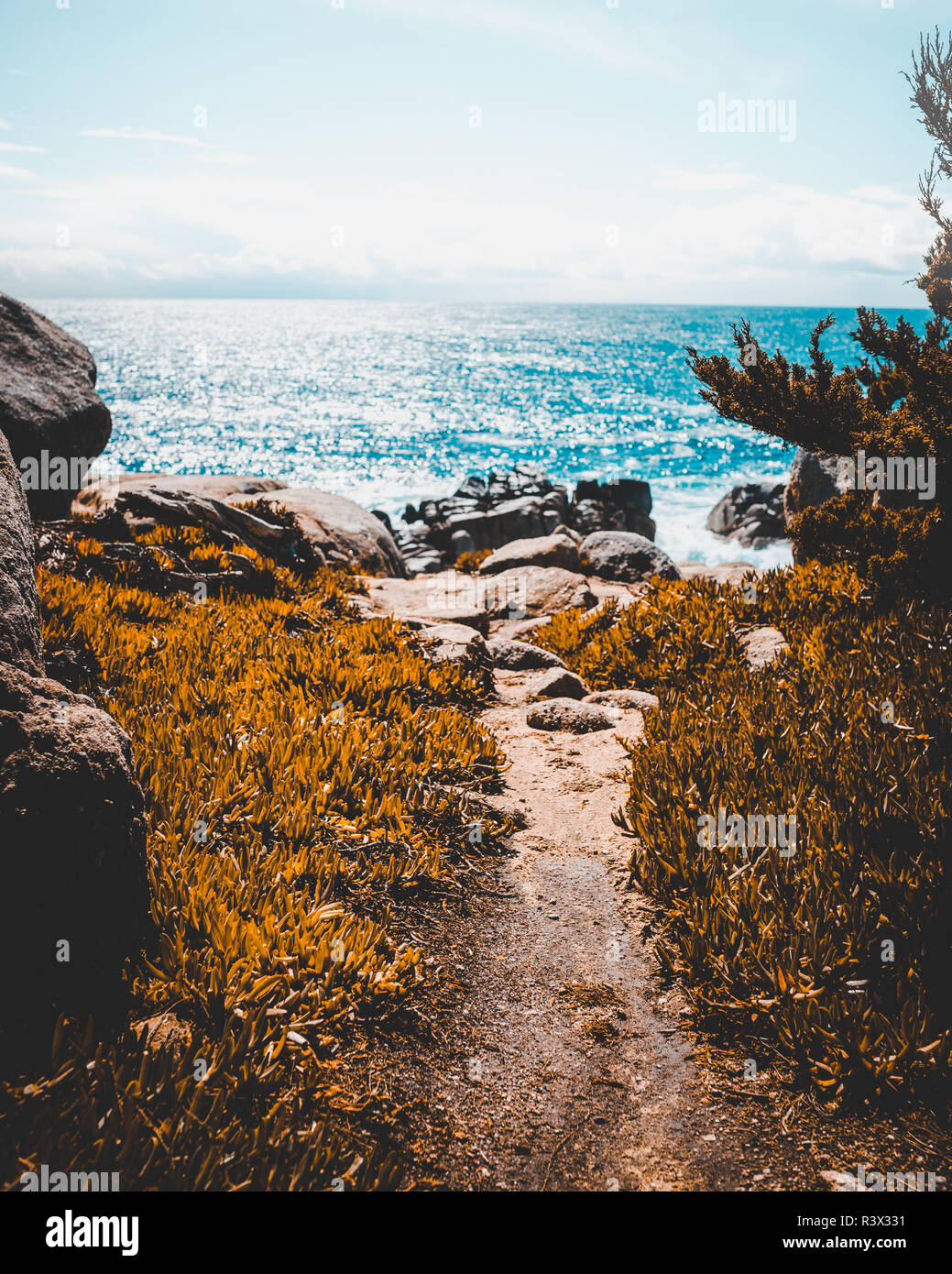 Pacific Ocean at Pebble Beach, California Stock Photo - Alamy