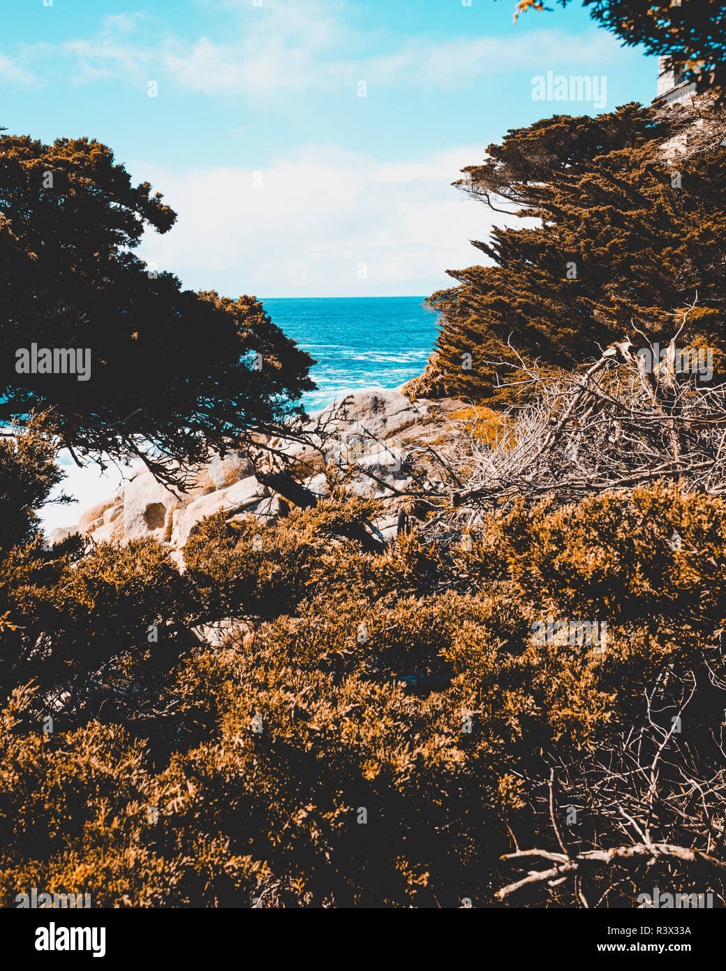 Pacific Ocean at Pebble Beach, California Stock Photo - Alamy
