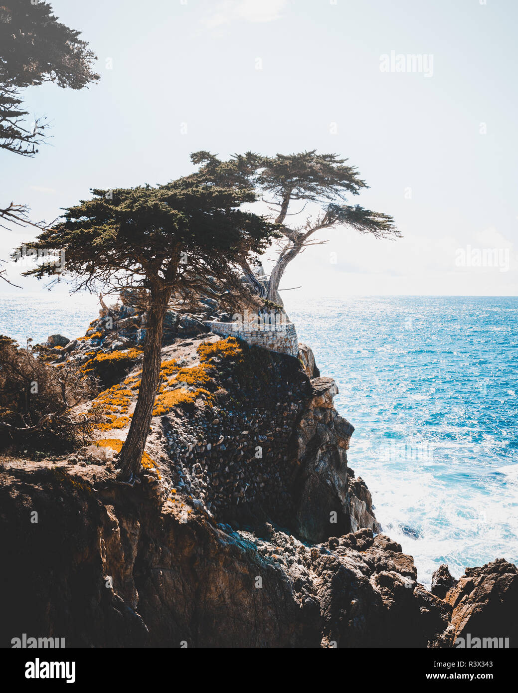 Pacific Ocean at Pebble Beach, California Stock Photo - Alamy