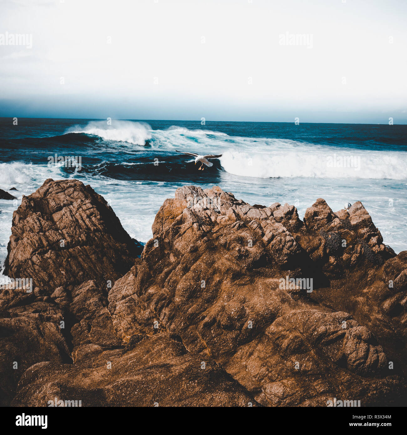 Pacific Ocean at Pebble Beach, California Stock Photo - Alamy