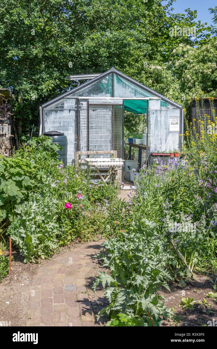 Cozy greenhouse in a citygarden with herbs and vegetables Stock Photo ...