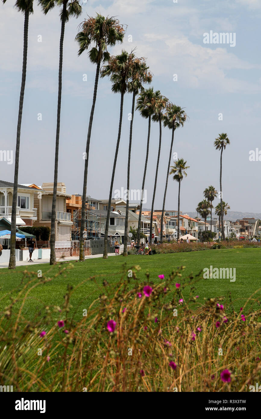 Balboa peninsula park hi-res stock photography and images - Alamy