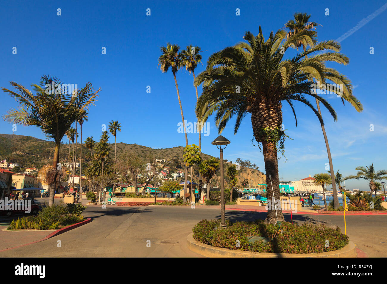 Santa catalina island usa hi-res stock photography and images - Alamy