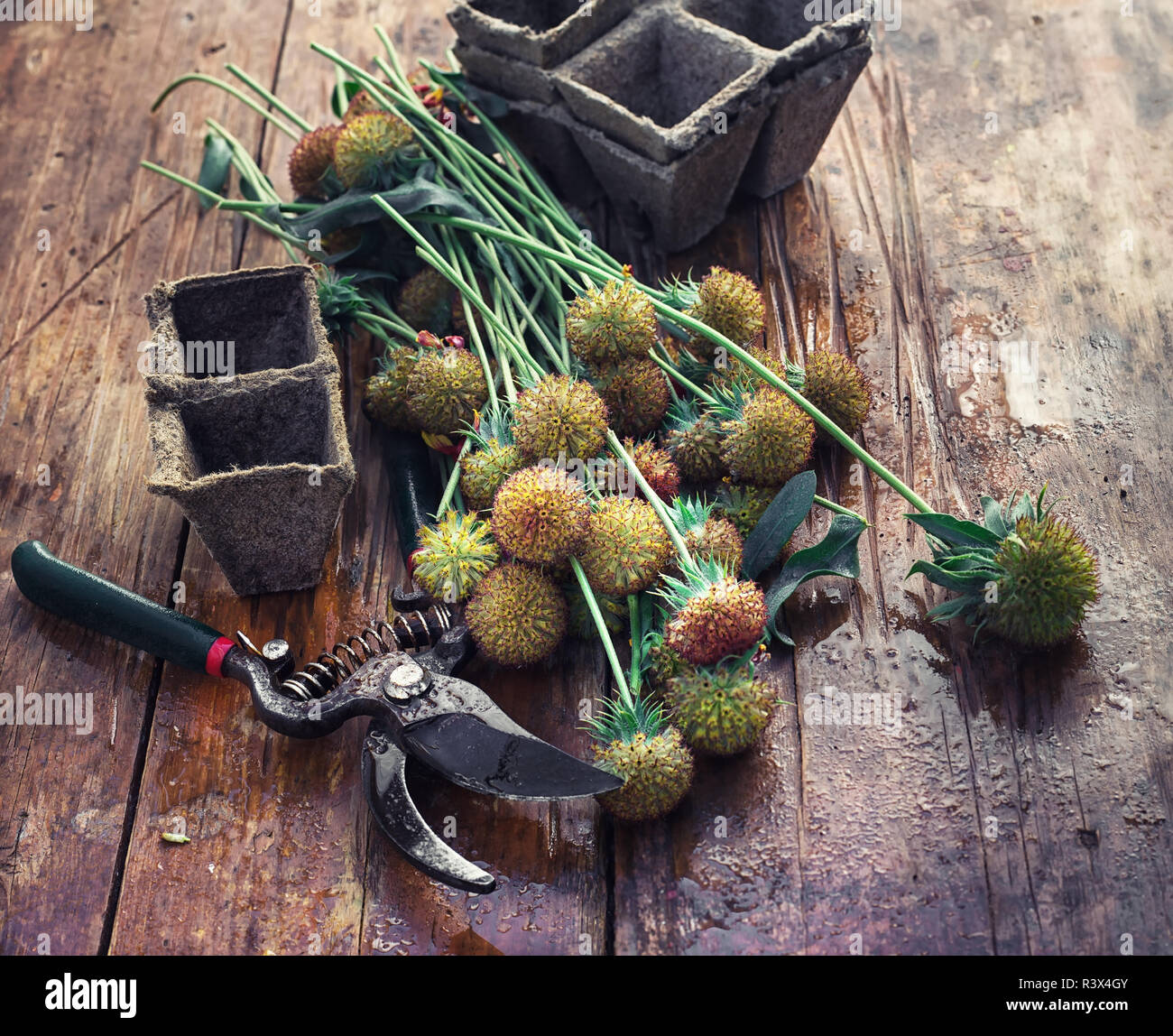 Peat cutting tool hi-res stock photography and images - Alamy