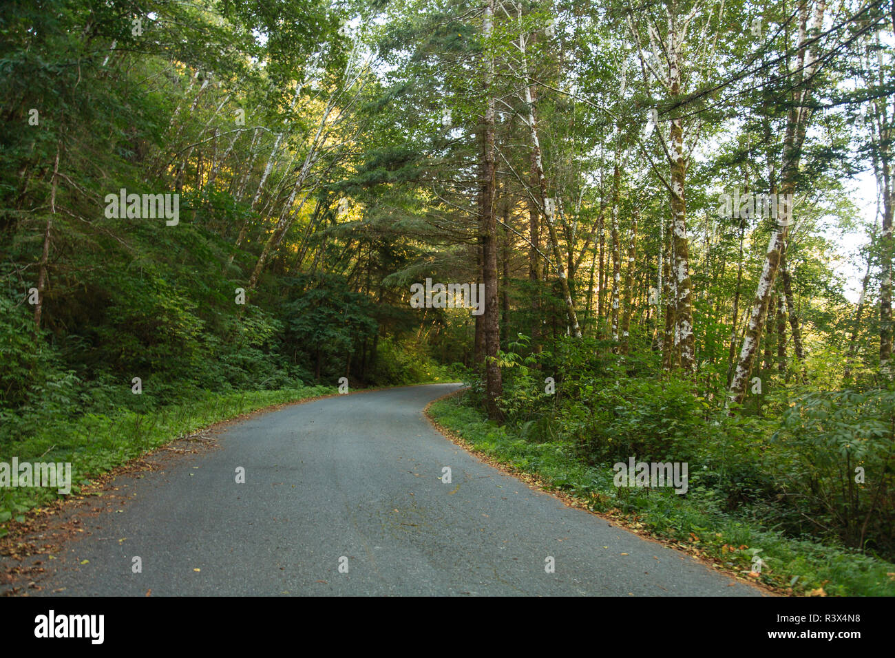 Near crescent city hi-res stock photography and images - Alamy