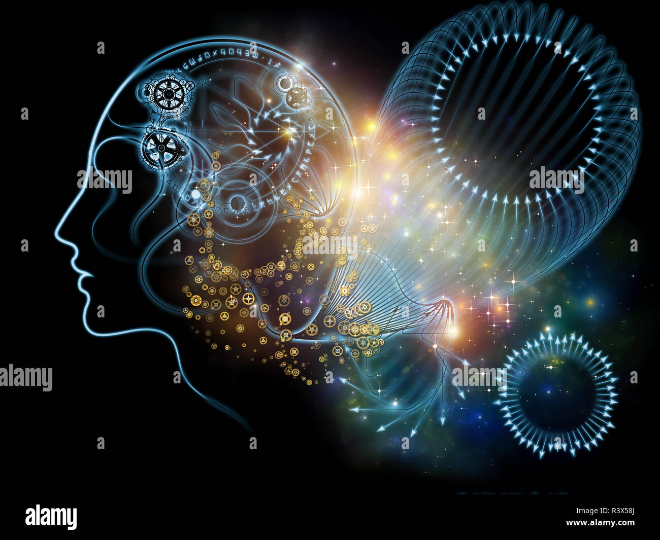 Face orbits hi-res stock photography and images - Alamy
