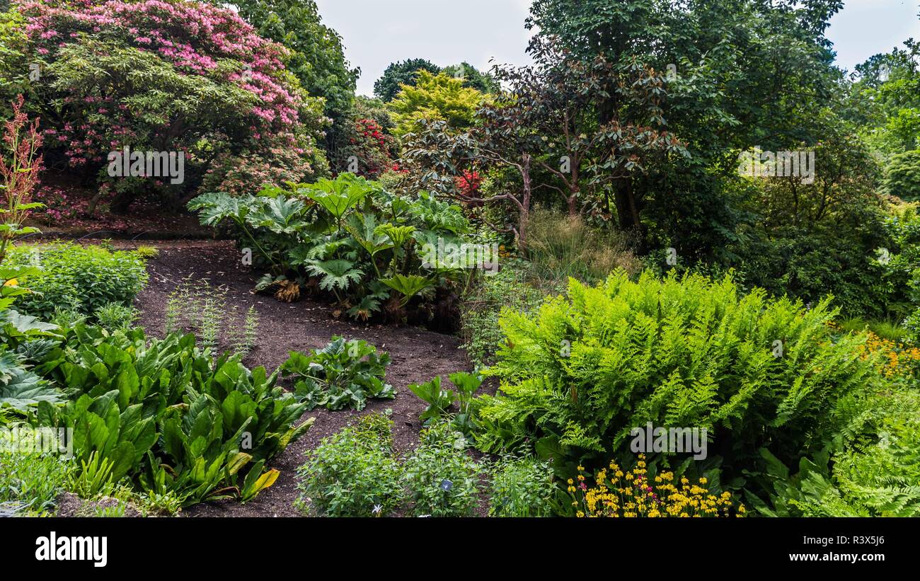 Colorful British castle garden during spring in Sussex, England Stock ...