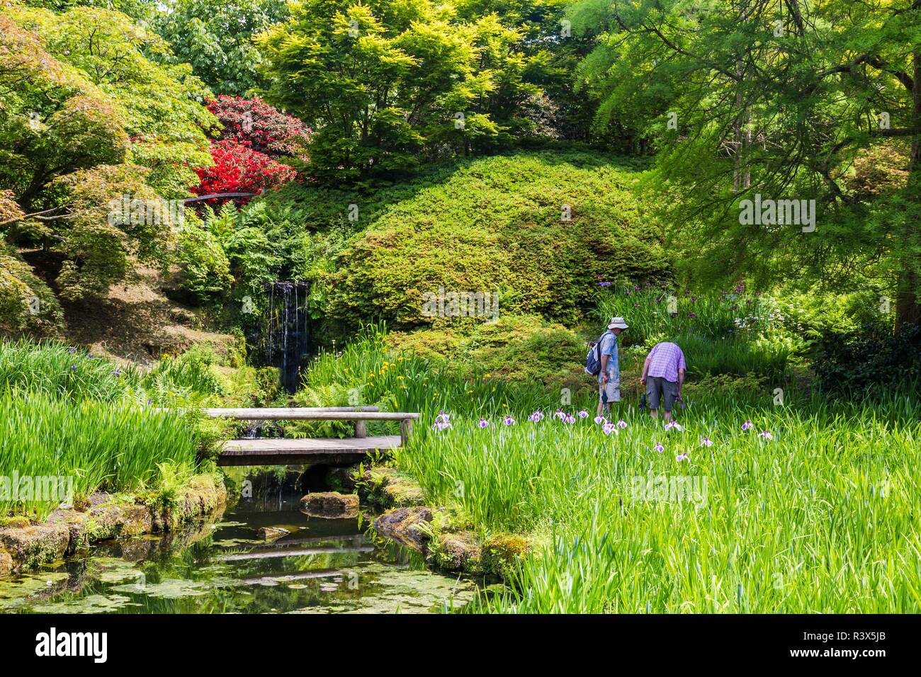 Colorful British castle garden during spring in Sussex, England Stock ...