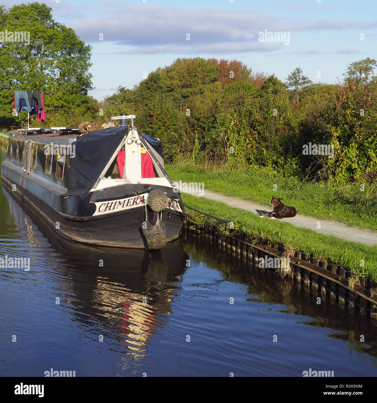 Narrow Boat trip from Anglo Welsh's Trevor boat yard on the Llangollen ...